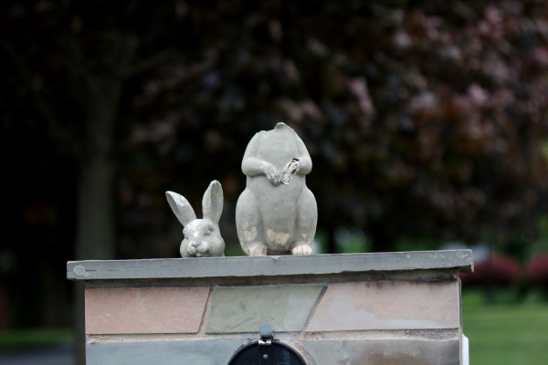 Headless Rabbit | Henry Hartley