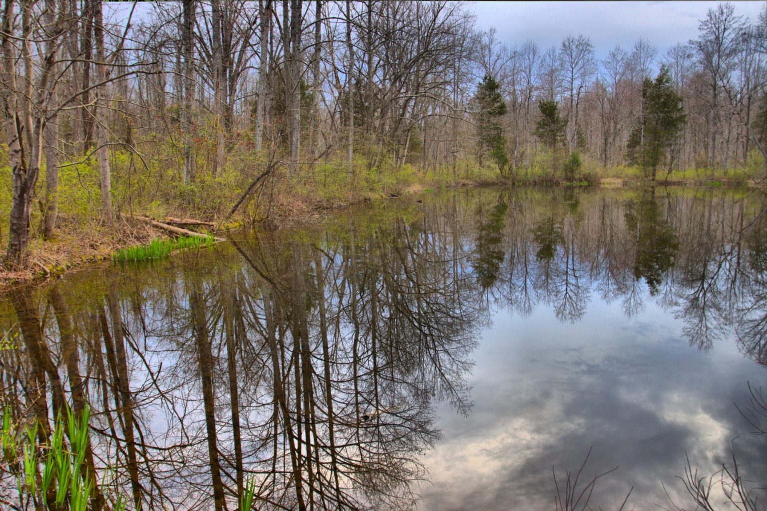 Henry Hartley | Here and There…Now and Then