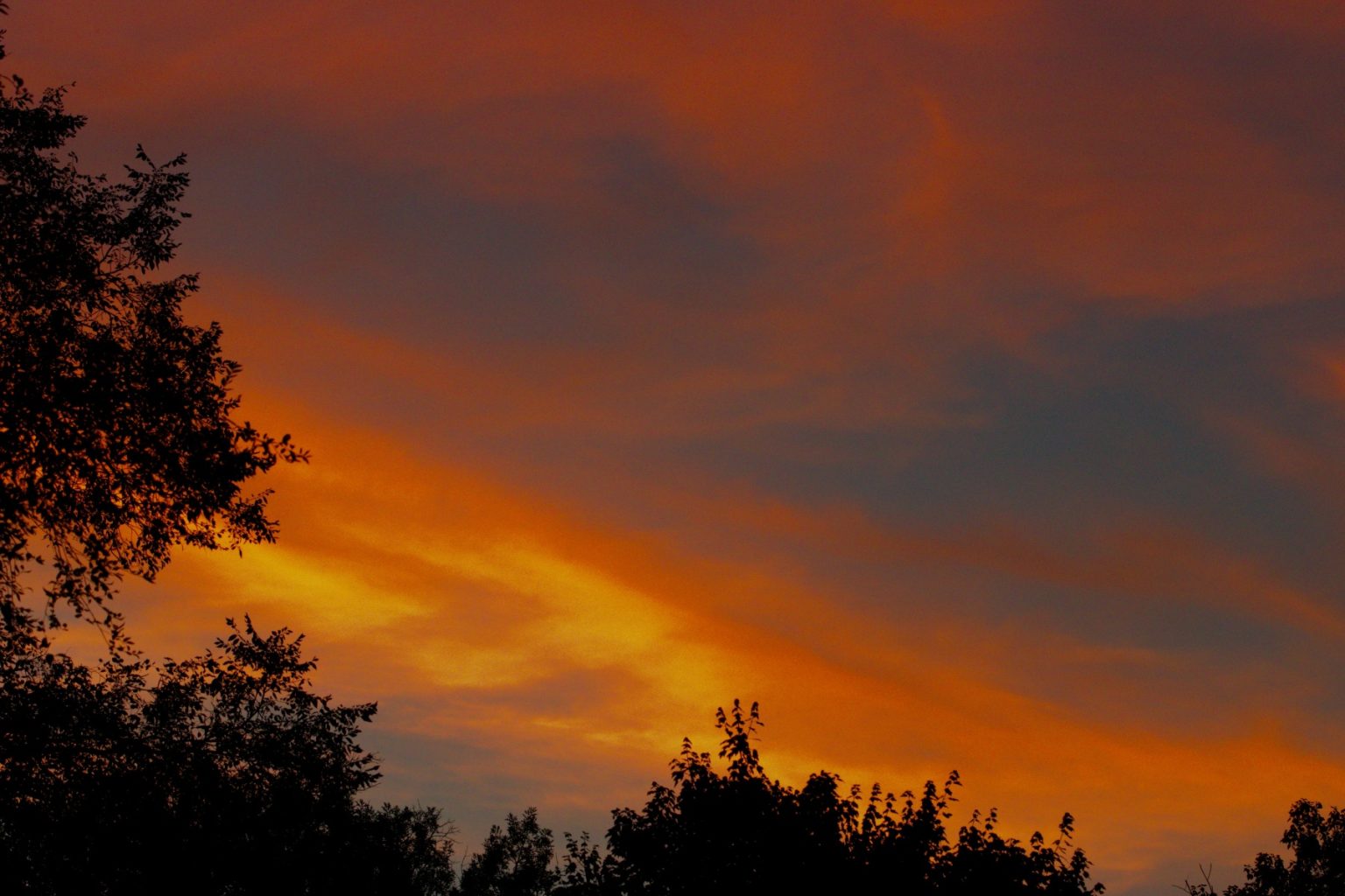 Sunrise/Sunset/Sky | Henry Hartley